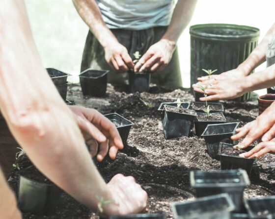 About Us – Green Acres Hydroseeding